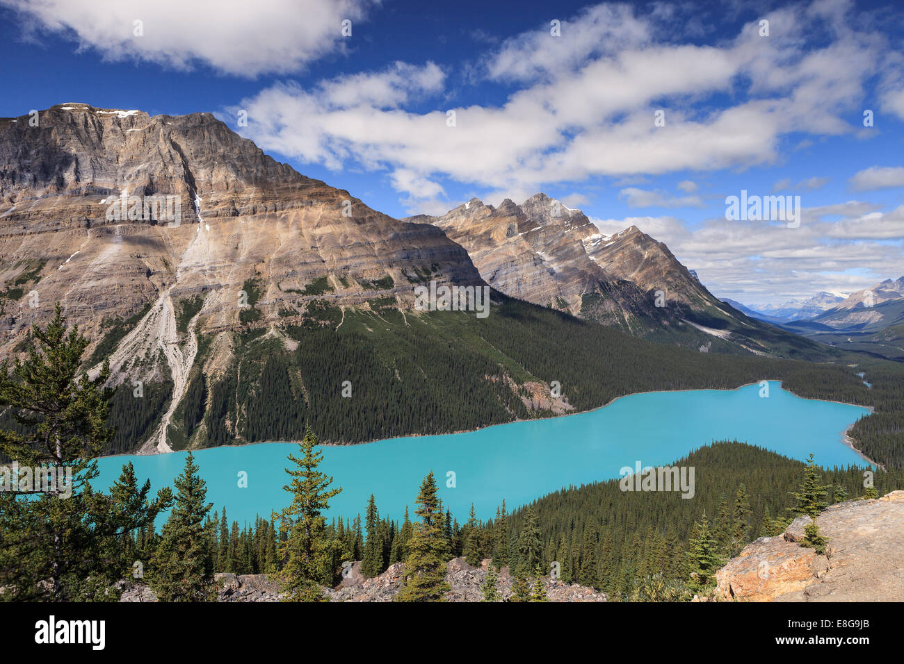 Peyto Lake, one of the most beautiful and famous lakes in Banff ...