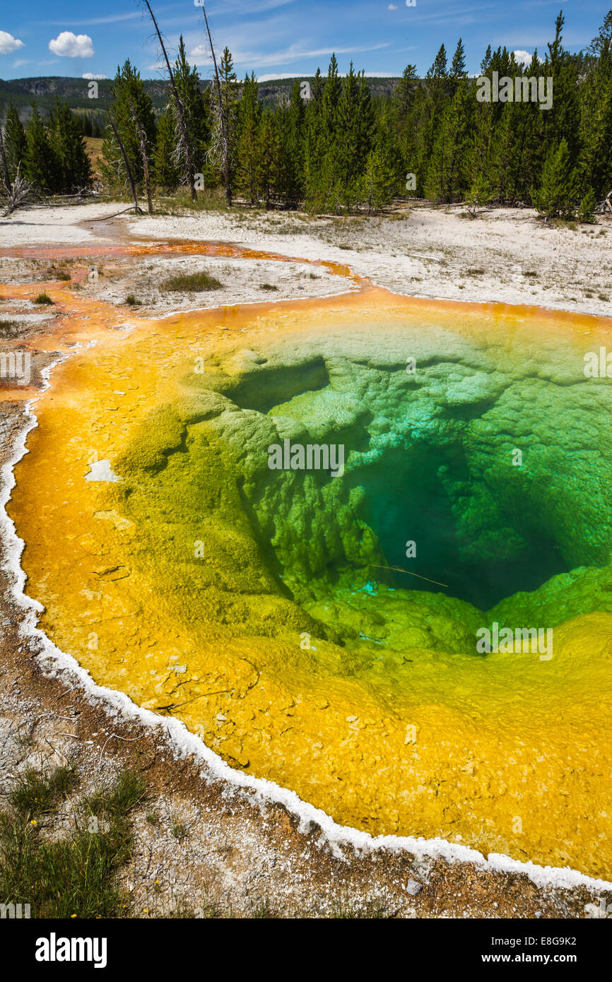 beautiful colors in the morning glory pool in yellowstone national park ...