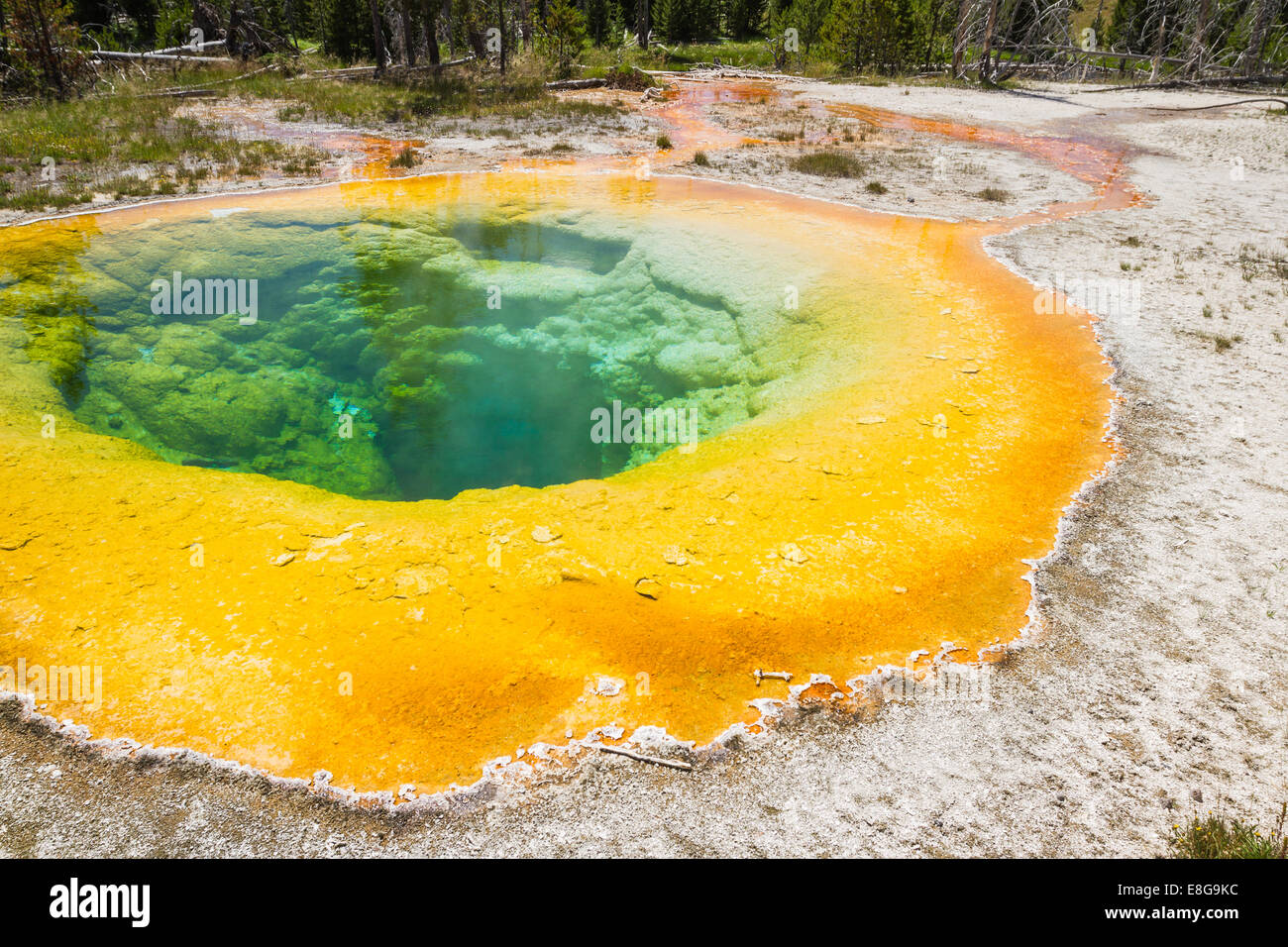beautiful colors in the morning glory pool in yellowstone national park ...