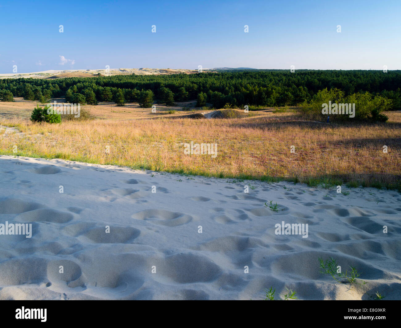 Nidos kopos hi-res stock photography and images - Alamy