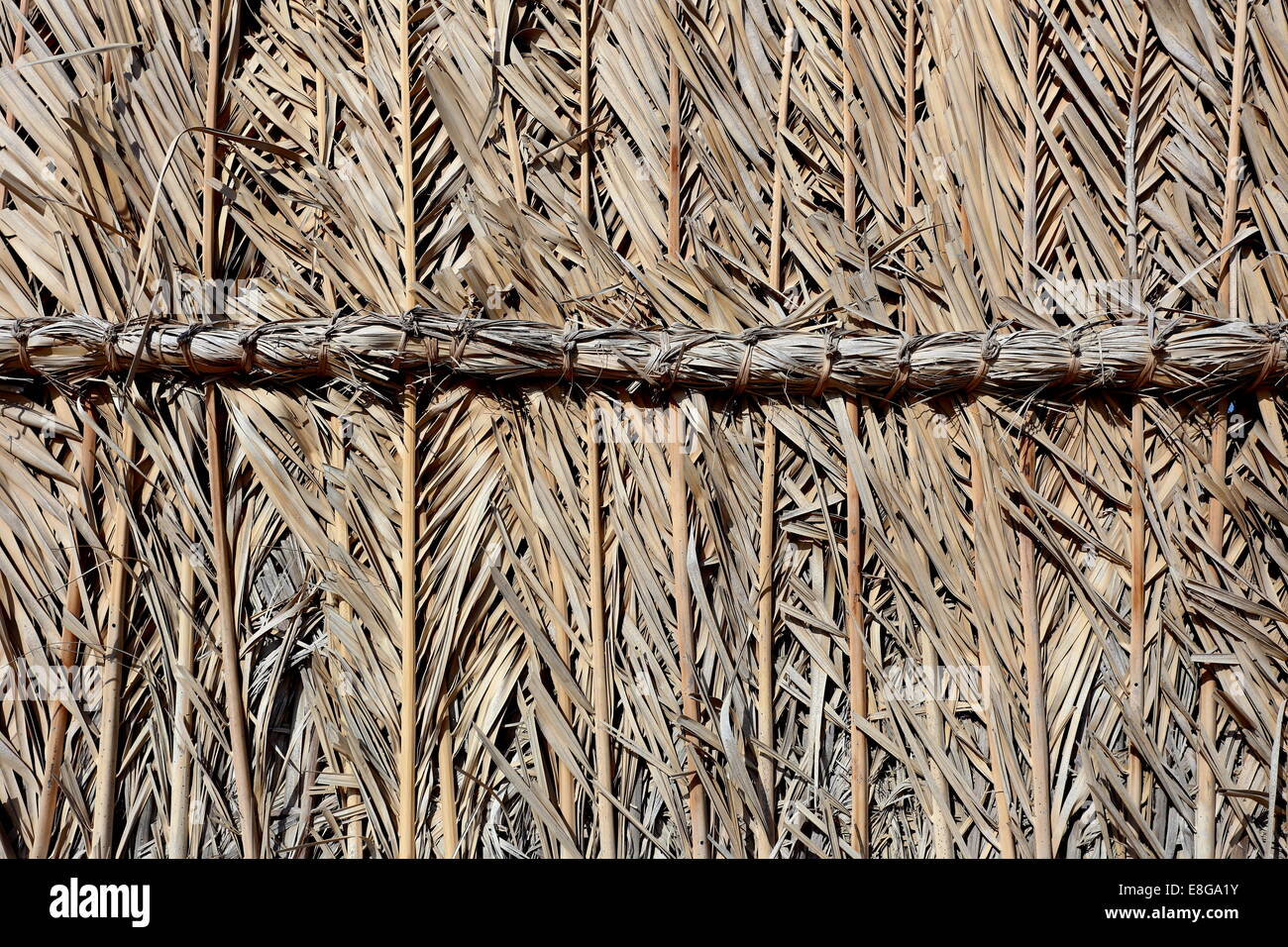 Fence made out of palm fronds, Kingdom of Bahrain Stock Photo - Alamy