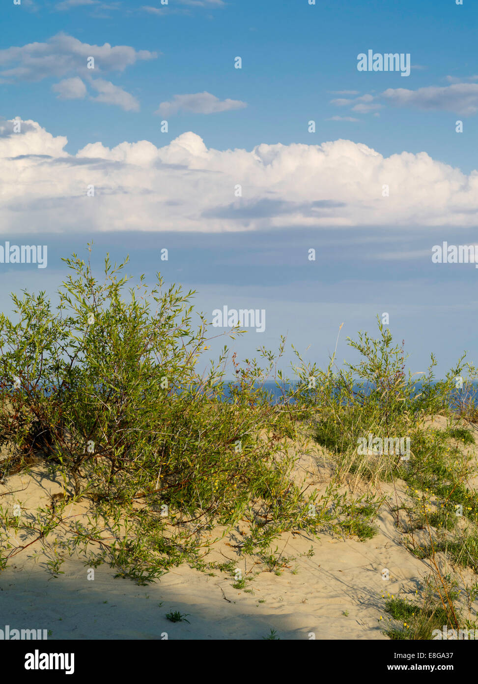 Nidos kopos hi-res stock photography and images - Alamy