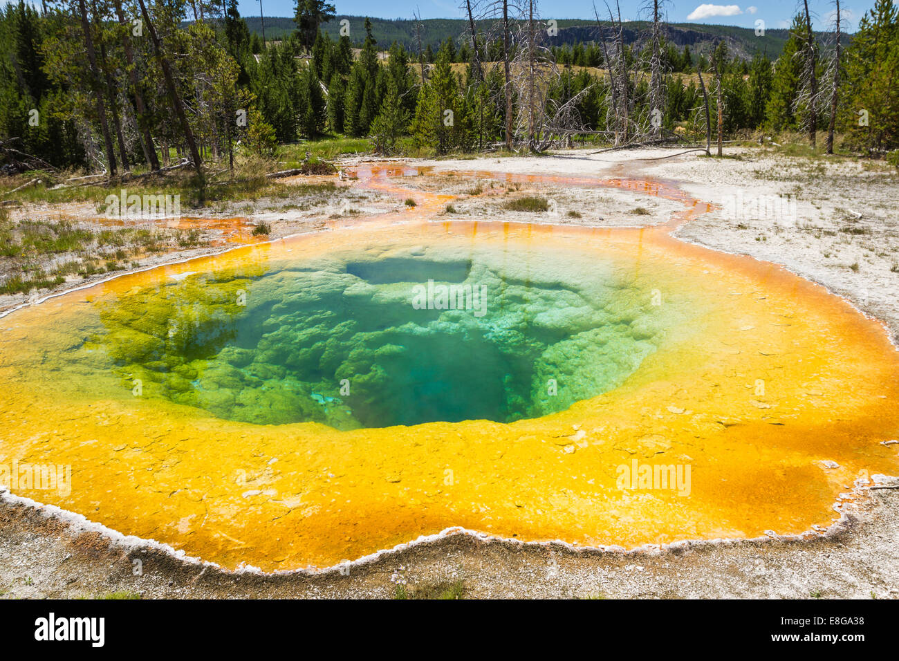 beautiful colors in the morning glory pool in yellowstone national park ...