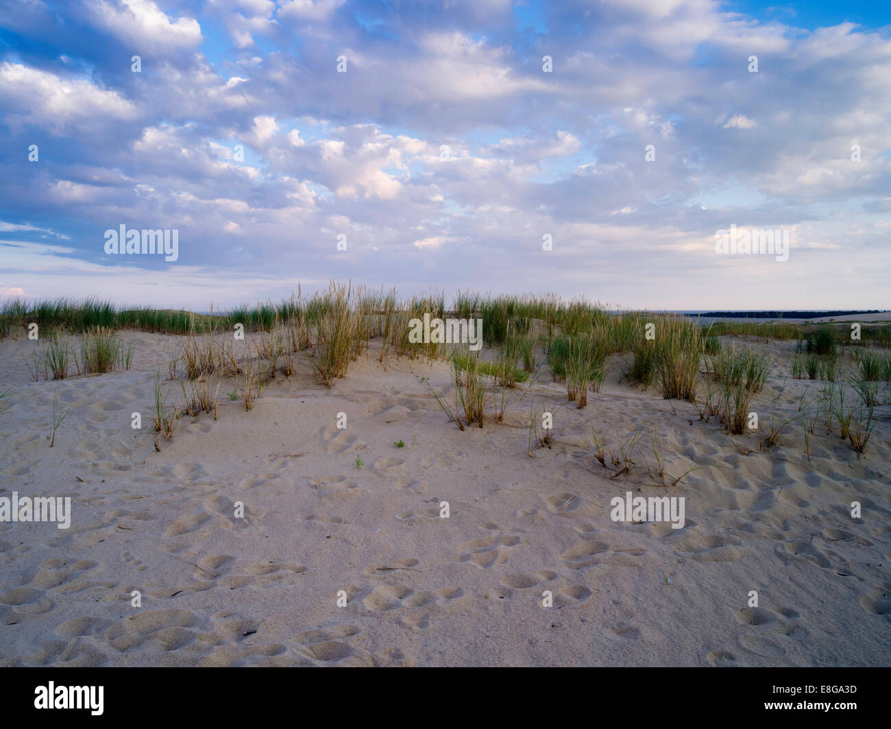 Evening falls over the Nida Dunes/Nidos Kopas, on the Curonian Spit ...