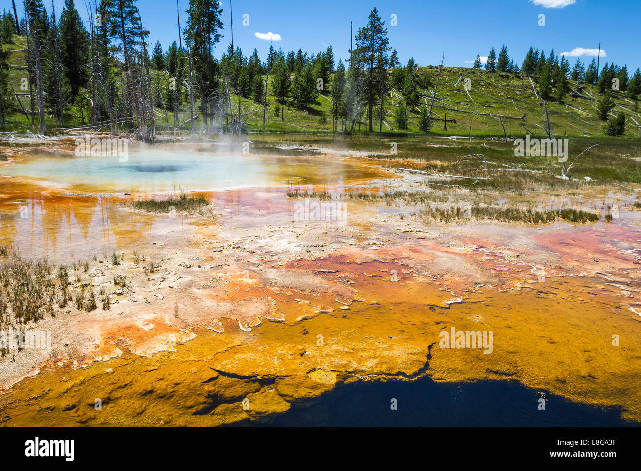 beautiful landscape in Yellowstone nations park with stemming geysers ...