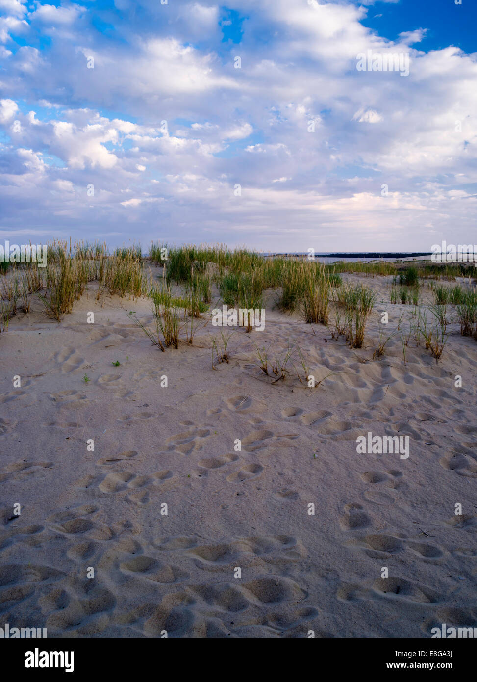 Kopas hi-res stock photography and images - Alamy