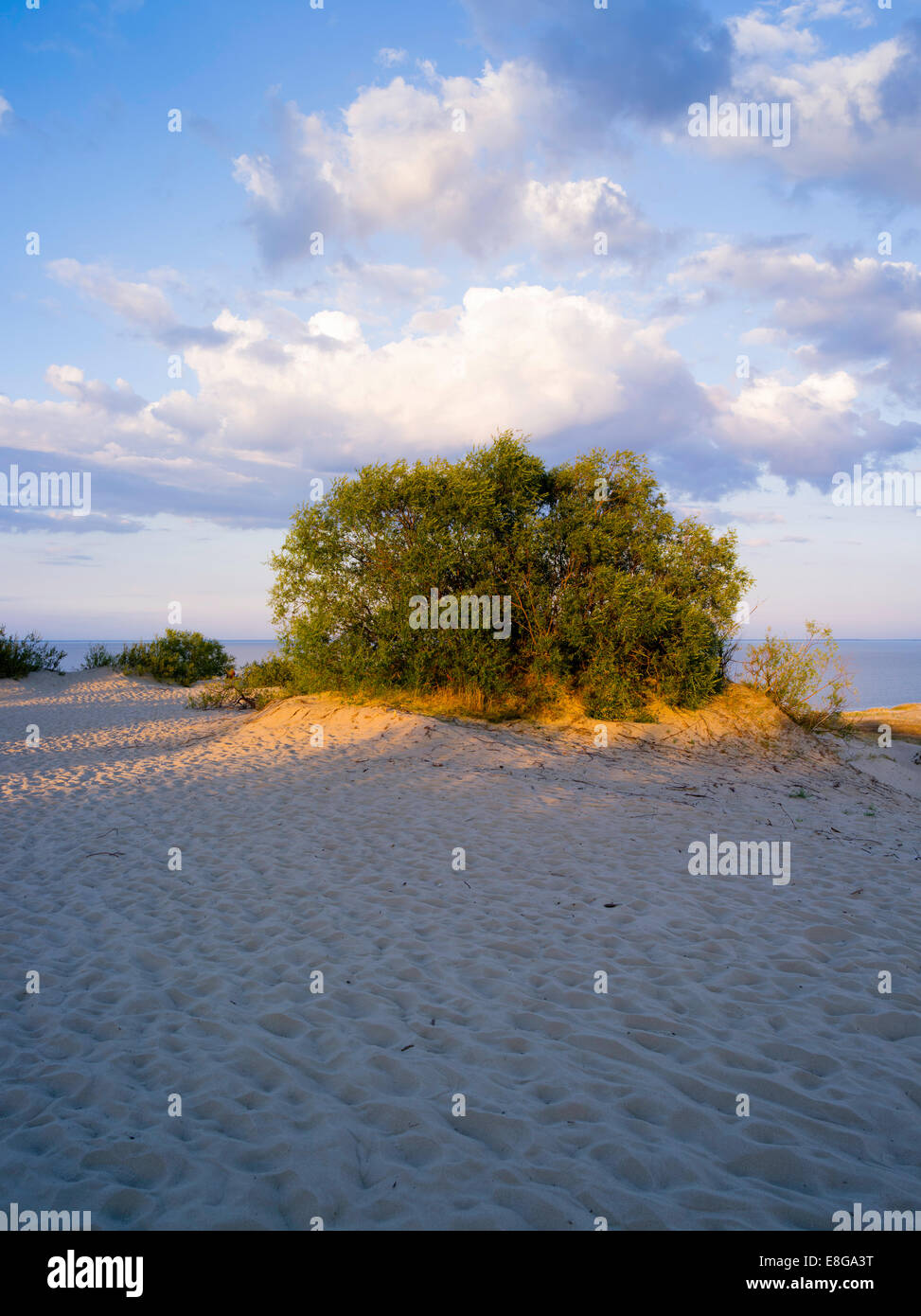 Evening falls over the Nida Dunes/Nidos Kopas, on the Curonian Spit ...
