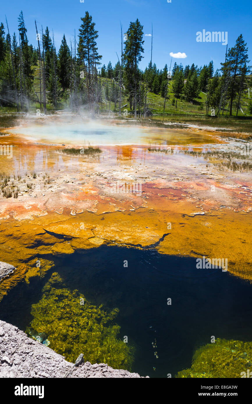 beautiful landscape in Yellowstone nations park with stemming geysers ...