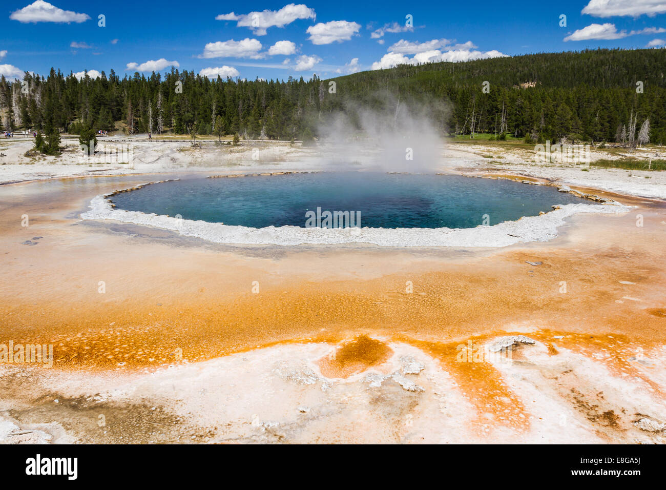 beautiful landscape in Yellowstone nations park with stemming geysers ...