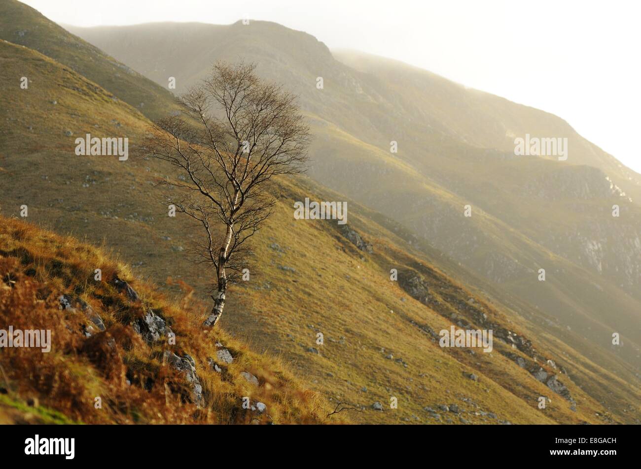 Ash slope hi-res stock photography and images - Alamy