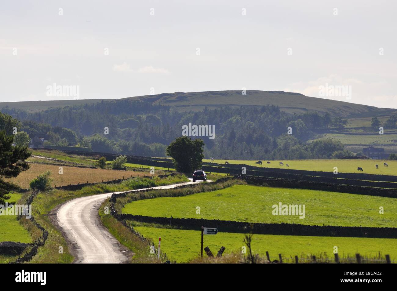 English country lane summer hi-res stock photography and images - Alamy