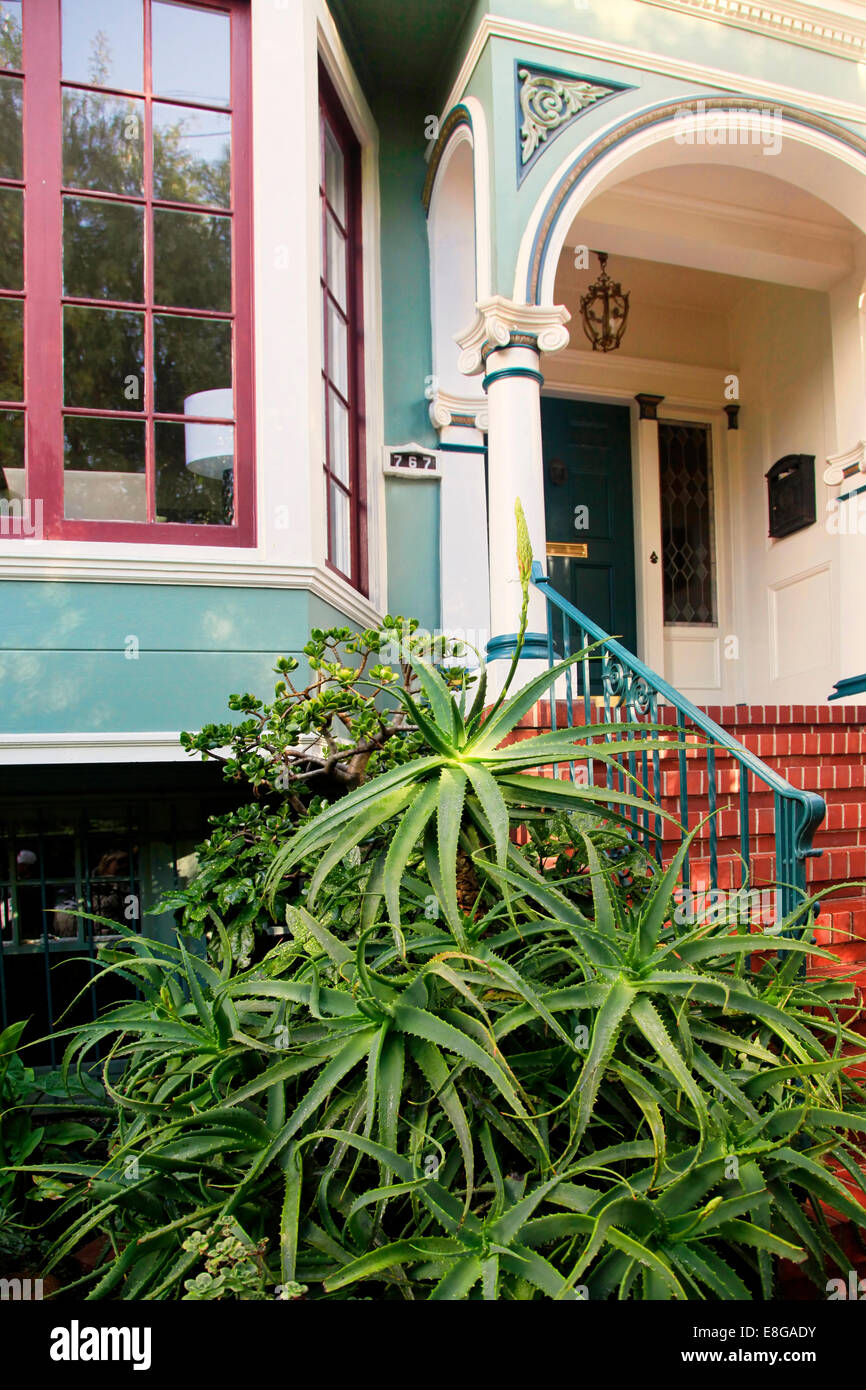 Beautiful bush aloe with flower on a background of building facade. San ...