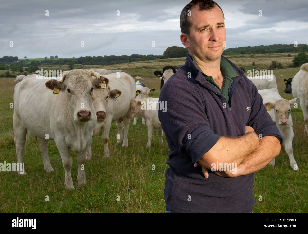 Beef farmer James Small on his farm in the Mendip Hills Stock Photo - Alamy