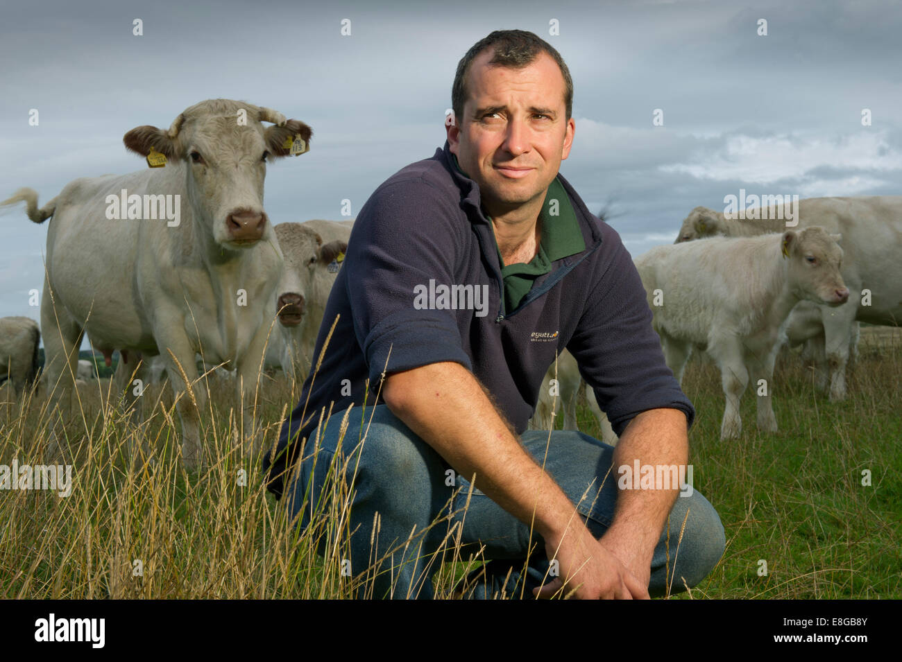 Beef farmer James Small on his farm in the Mendip Hills Stock Photo - Alamy