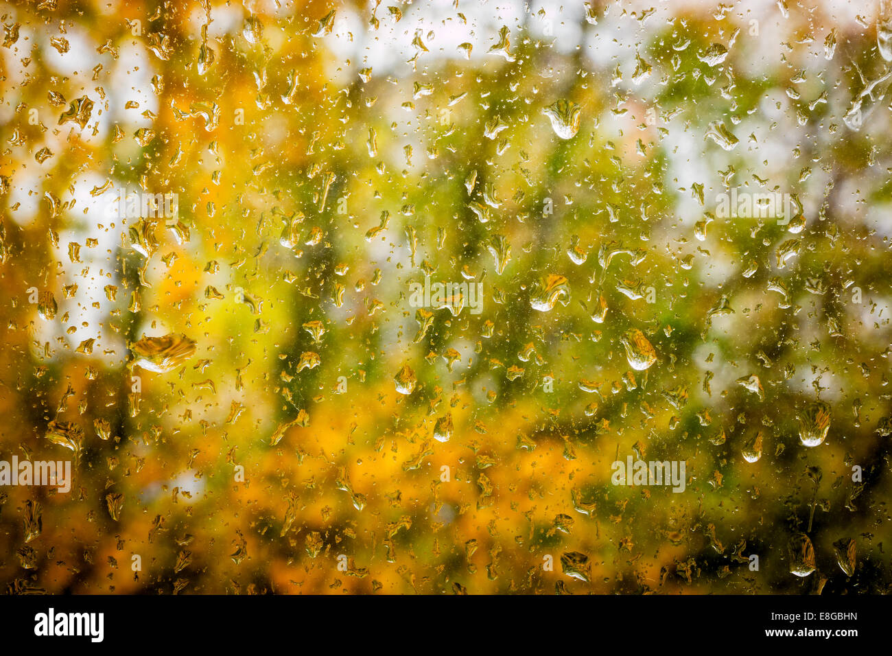 Rain drops on dirty window with out of focus autumn landscape in ...