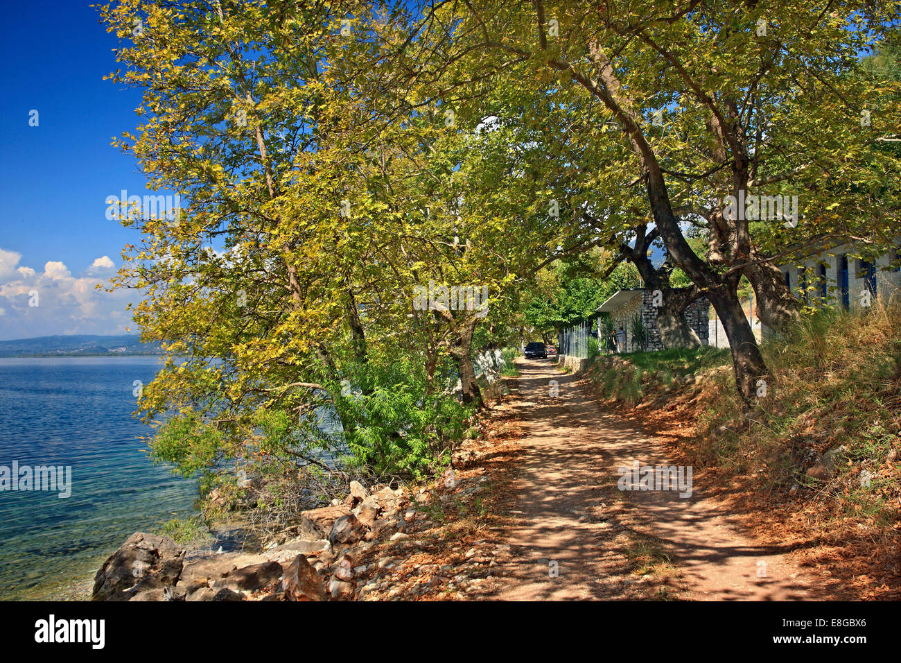 The lakeside road at Loutra Myrtias, Trichonida (or "Trichonis") lake ...