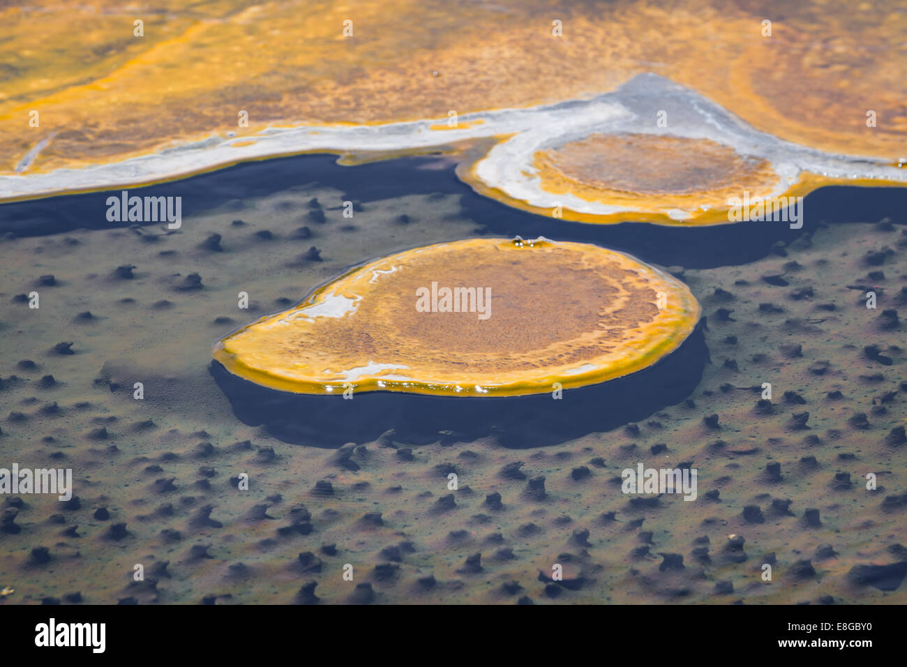 golden minerals floating forming a shell over the hot pools in ...