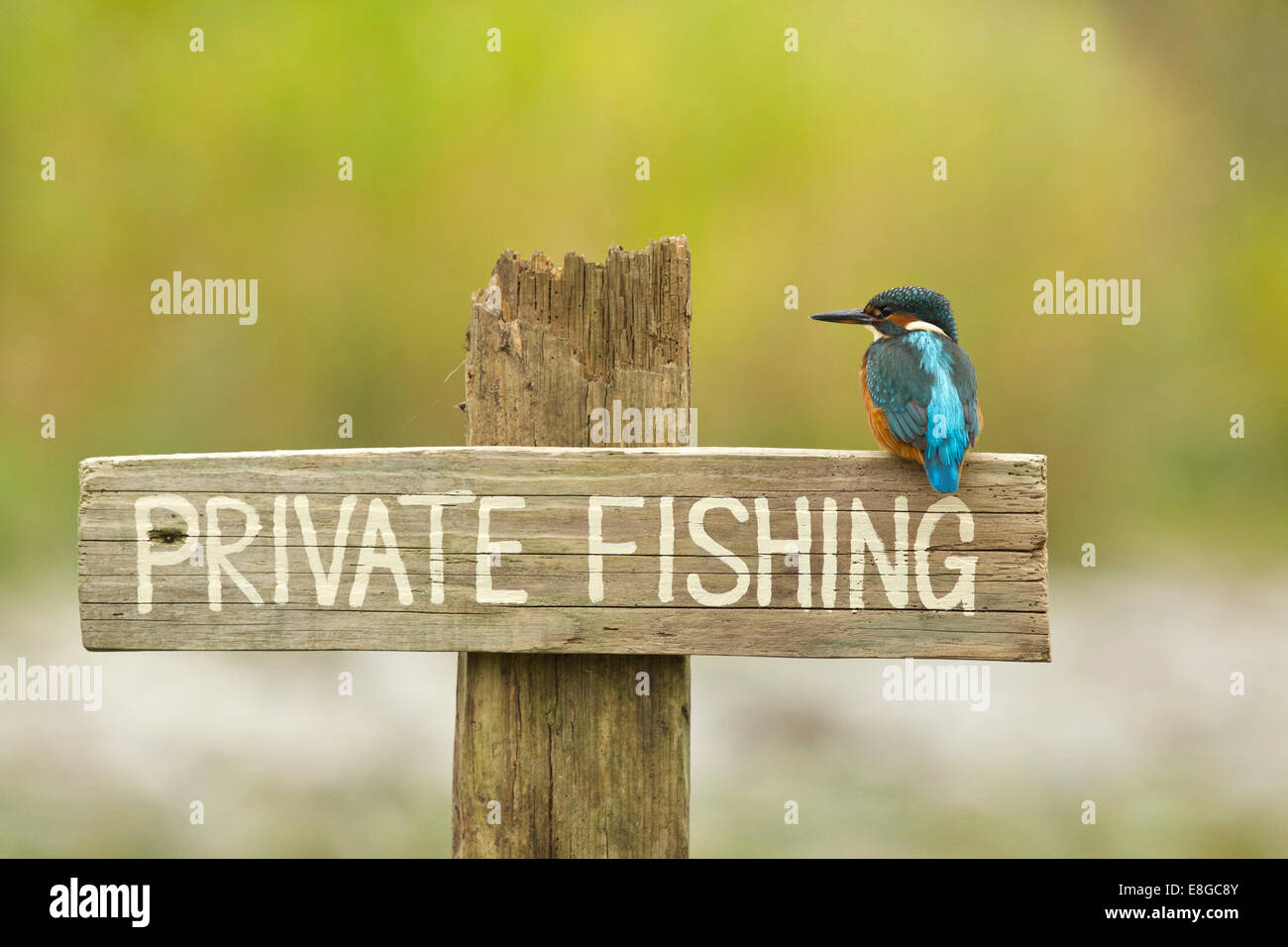 Private Fishing High Resolution Stock Photography and Images - Alamy