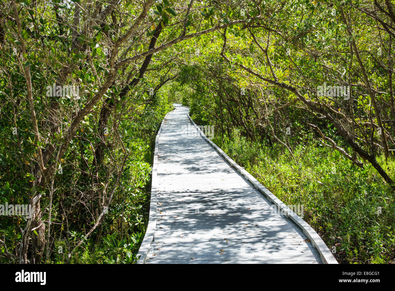 Fort Ft. Myers Beach Florida,Gulf of Mexico,sign,logo,Matanzas Pass ...