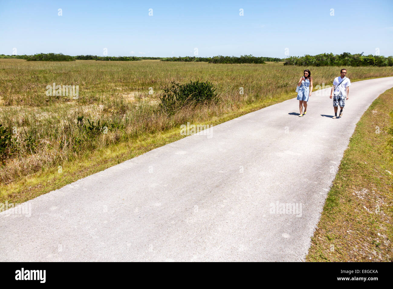 Florida Tamiami Trail,Everglades National Park,Shark Valley Loop Road ...