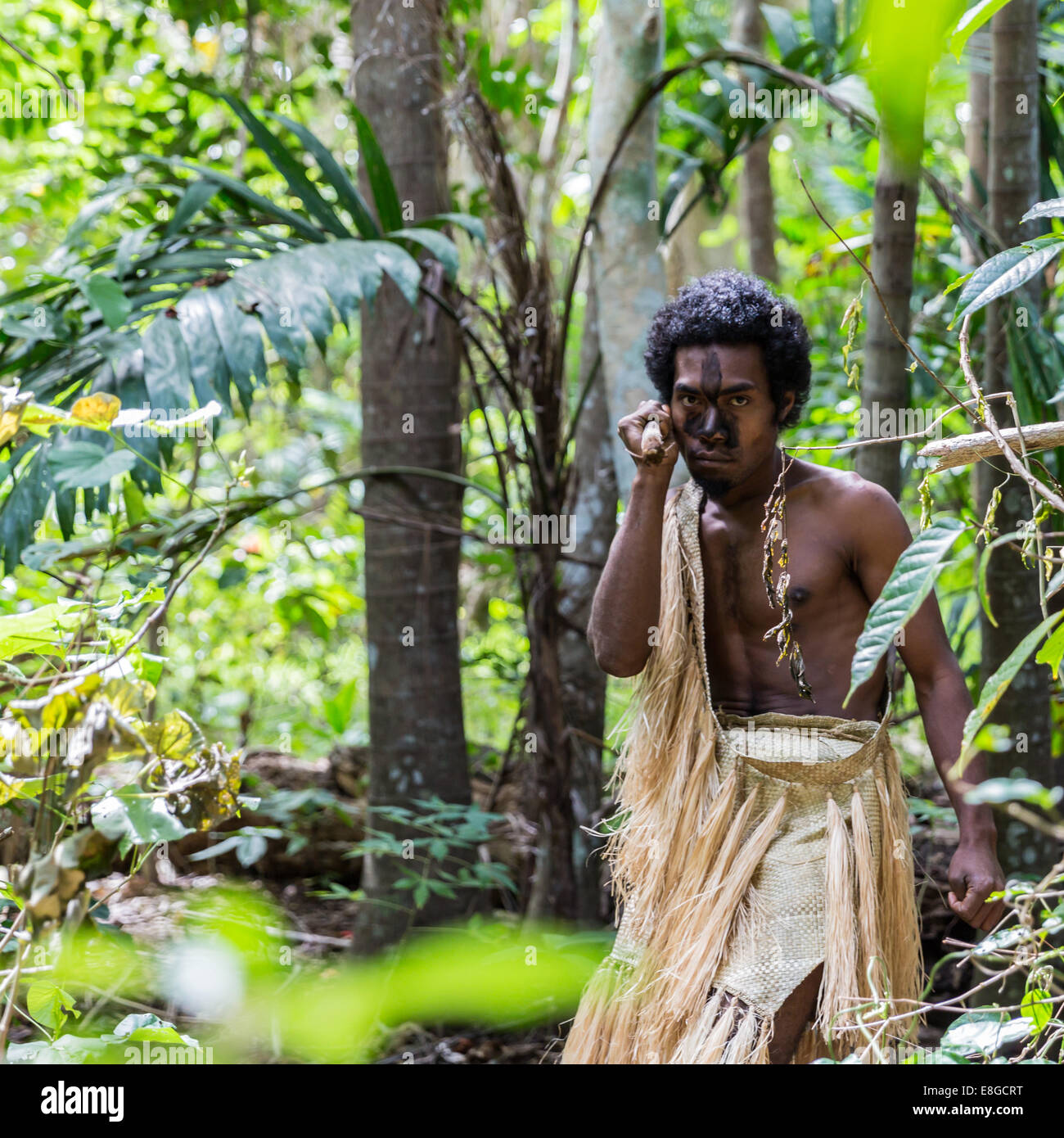 Melanesia melanesian traditional weapons hi-res stock photography and ...