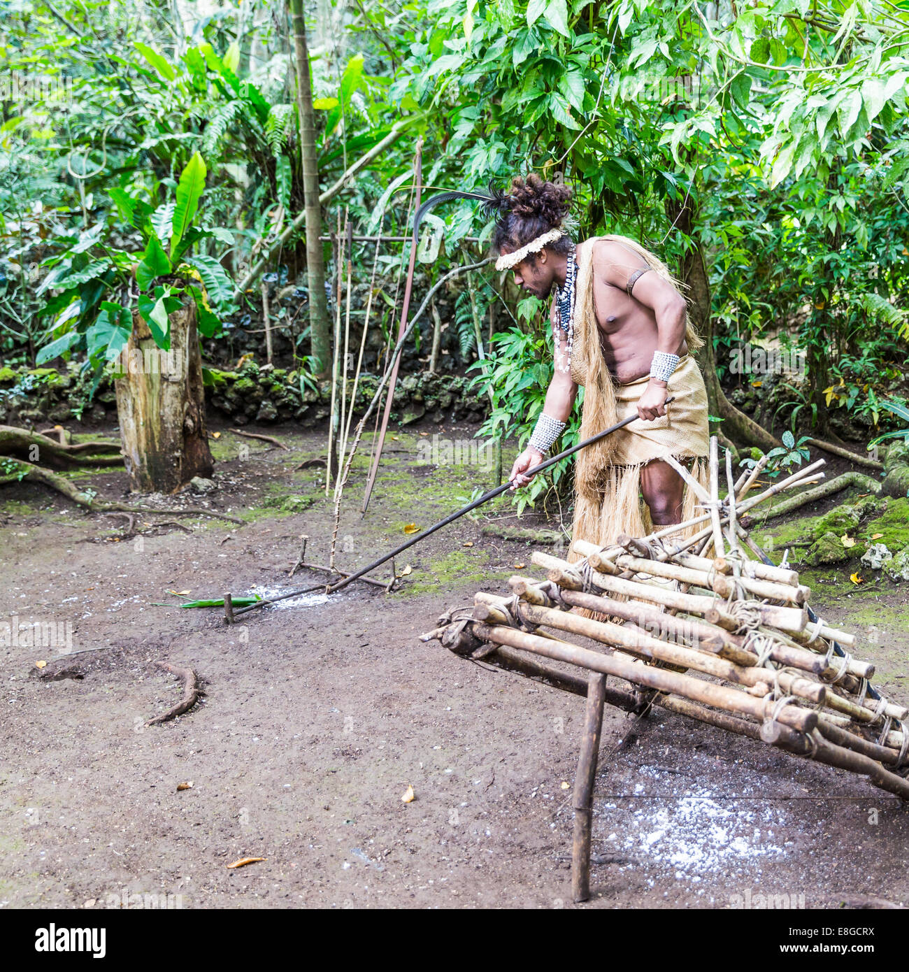 Melanesian guide demonstrating traditional life and animal traps at ...