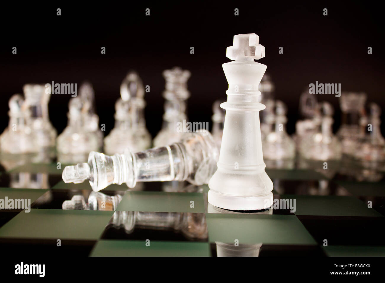 Photographed on a chess board Stock Photo - Alamy