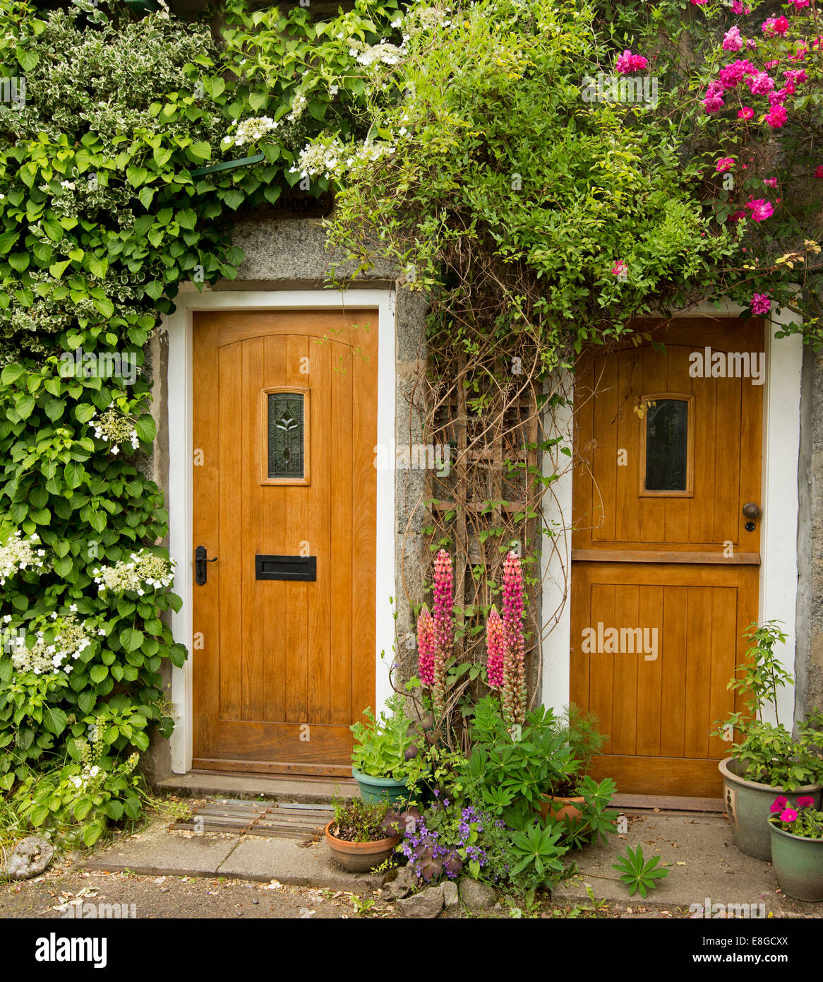 Wooden cottage door hi-res stock photography and images - Alamy