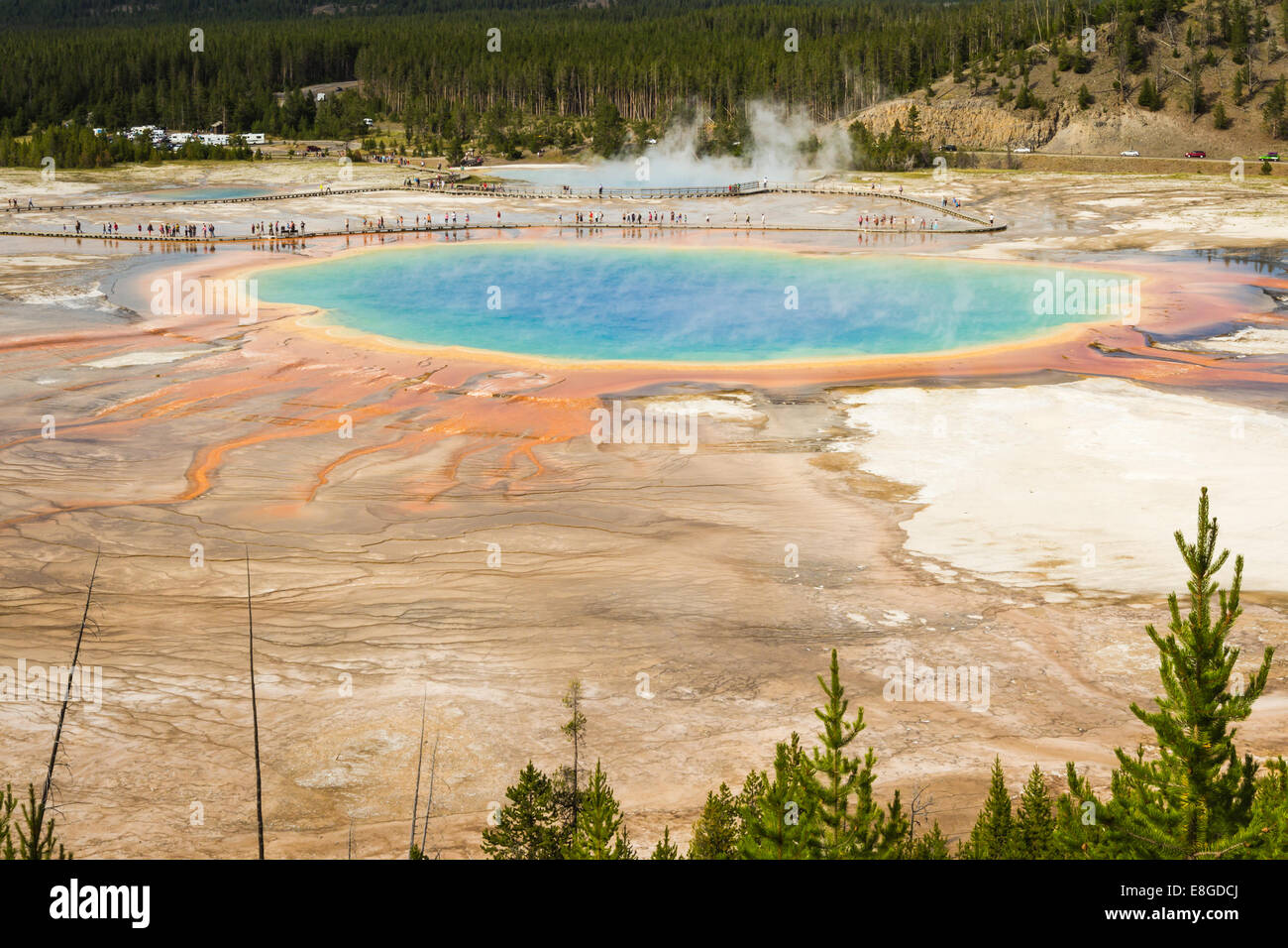 beautiful view from a hillside of grand prismatic pool in yellowstone ...