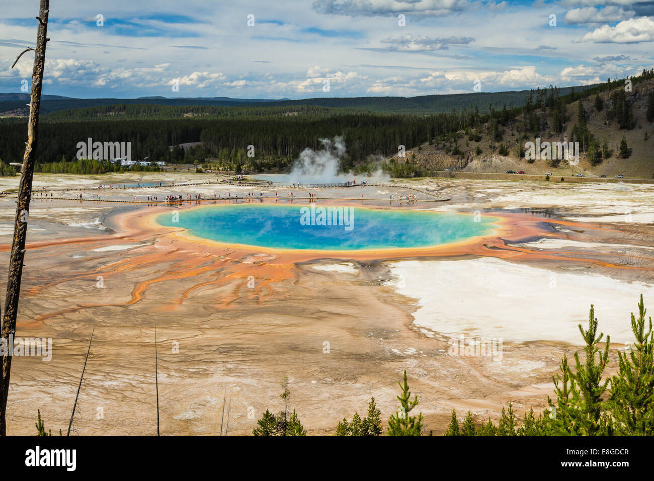 beautiful view from a hillside of grand prismatic pool in yellowstone ...