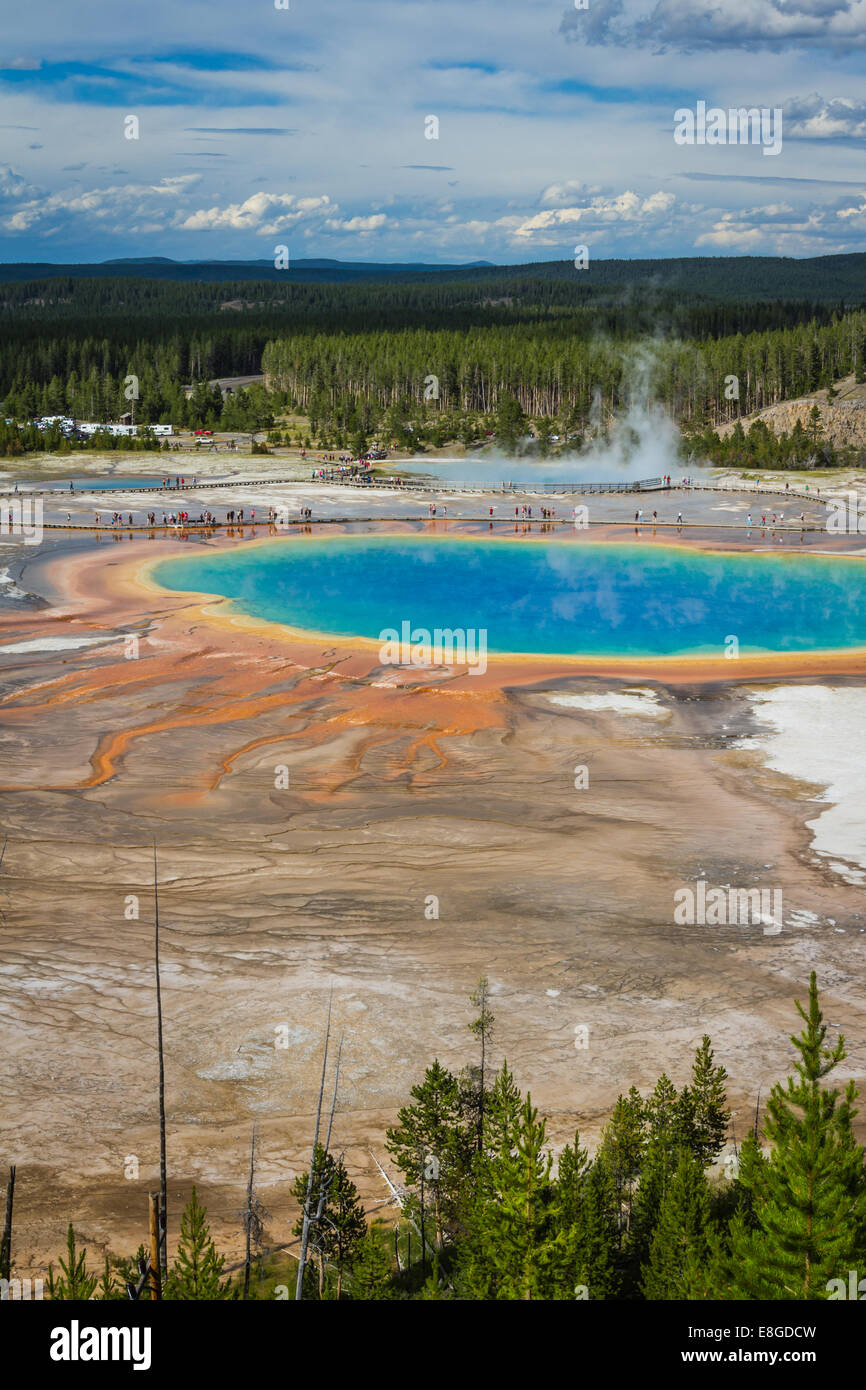 beautiful view from a hillside of grand prismatic pool in yellowstone ...
