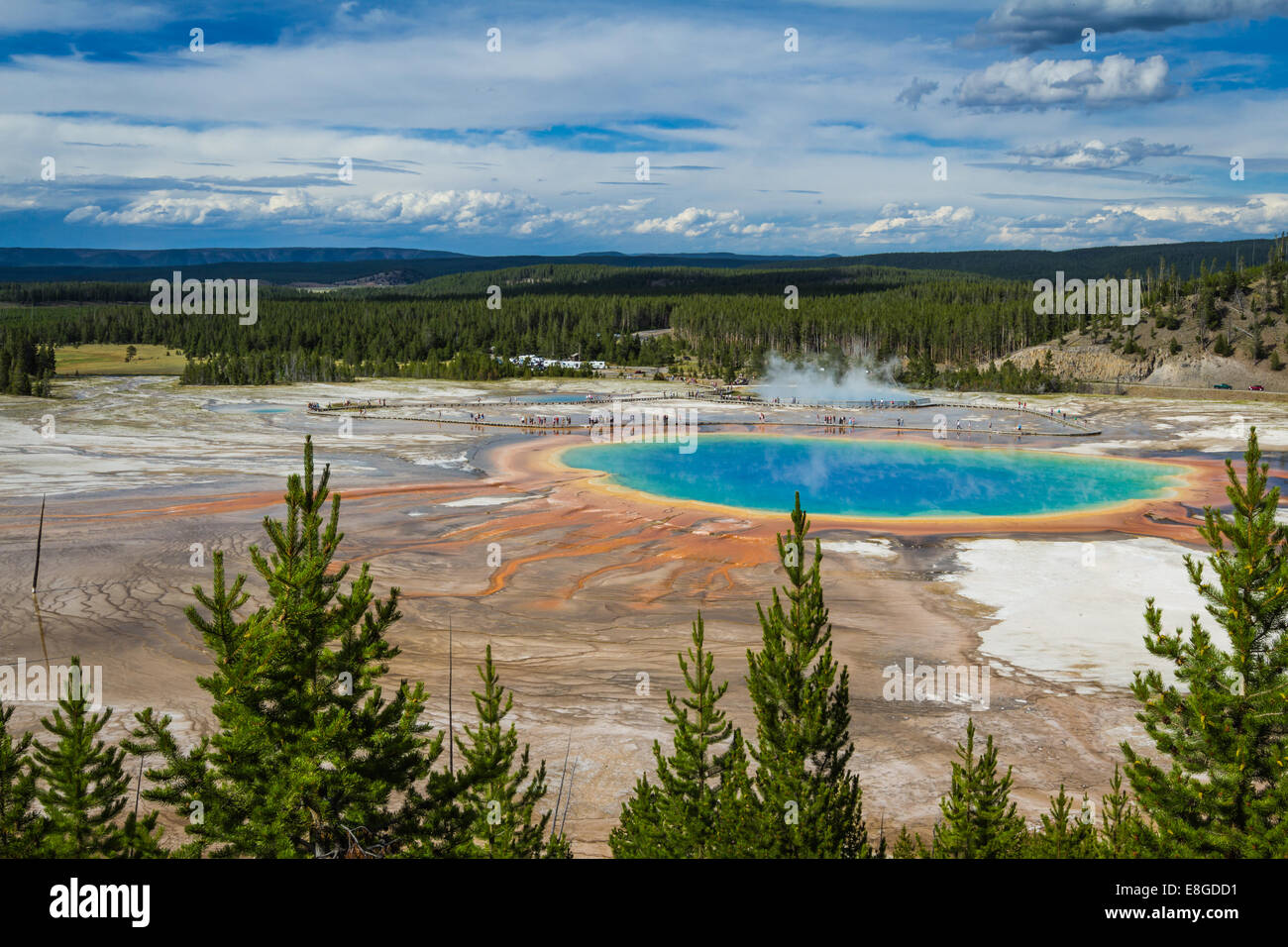 beautiful view from a hillside of grand prismatic pool in yellowstone ...