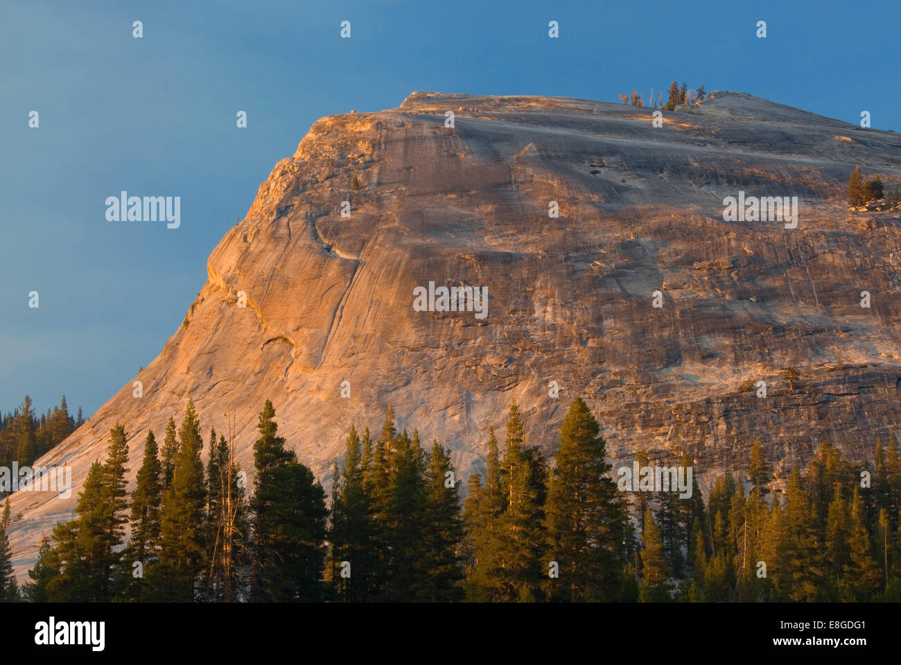 Lembert Dome, Yosemite National Park, California Stock Photo - Alamy