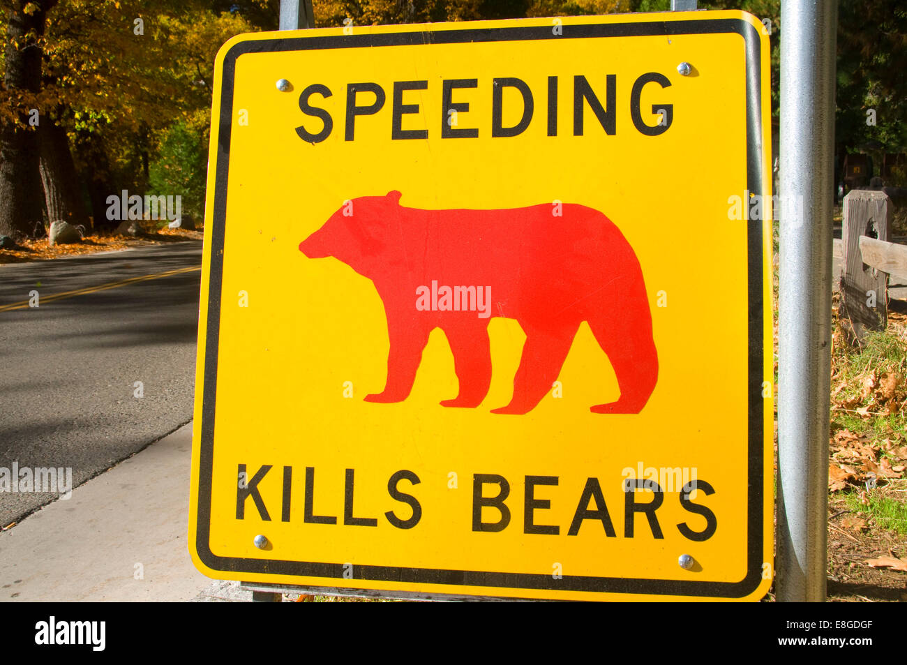Bear warning sign, Yosemite National Park, California Stock Photo - Alamy