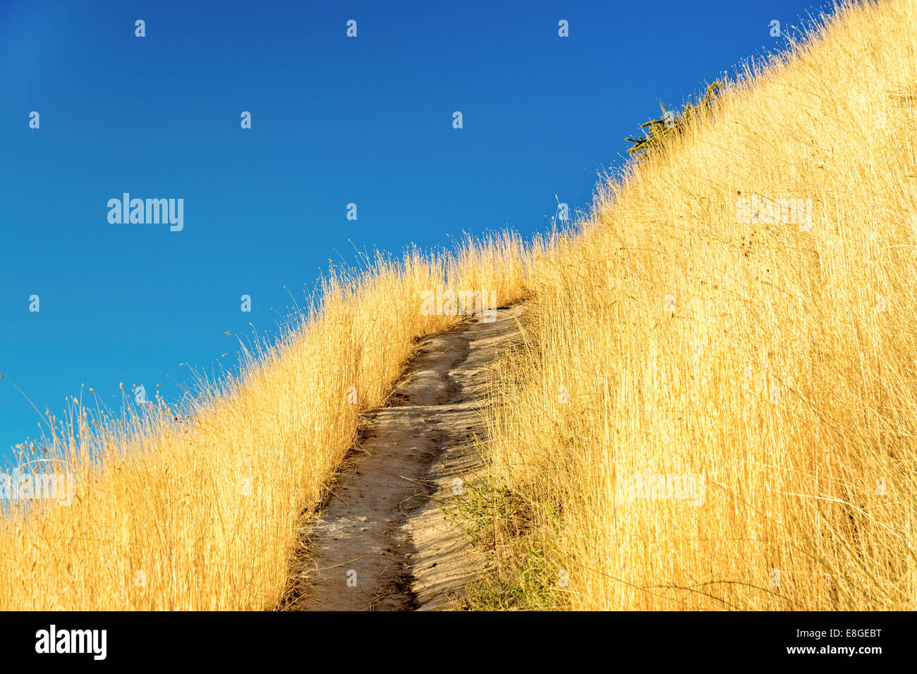 Dirt Foot Path High Resolution Stock Photography and Images - Alamy