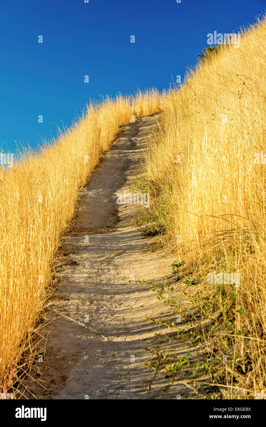 Eroded dirt footpath leads through the foothills Stock Photo - Alamy