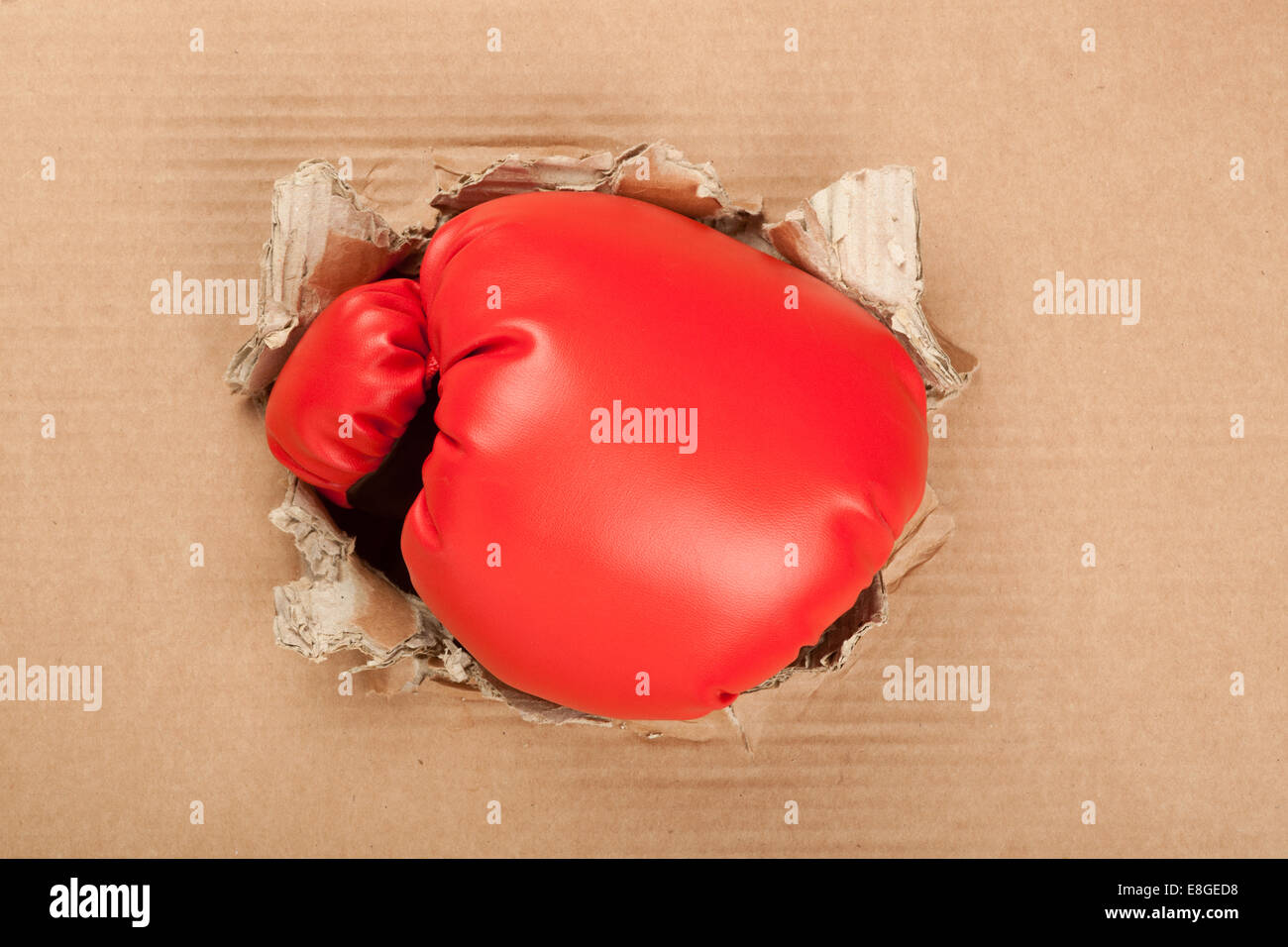 A punch breaking through an opening in a corrugated cardboard Stock ...