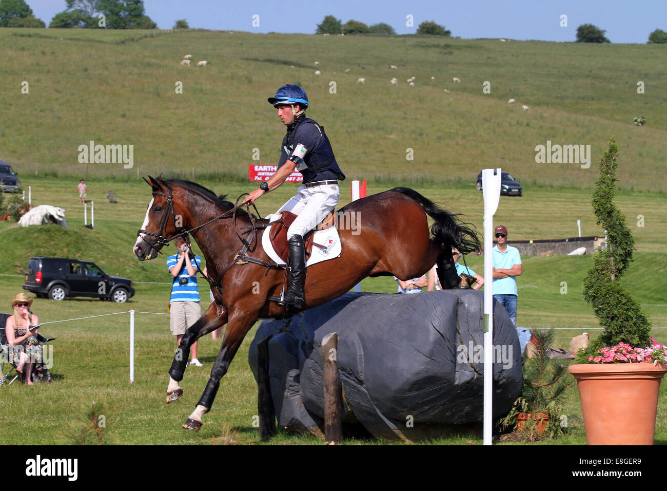 Wesko horse hi-res stock photography and images - Alamy