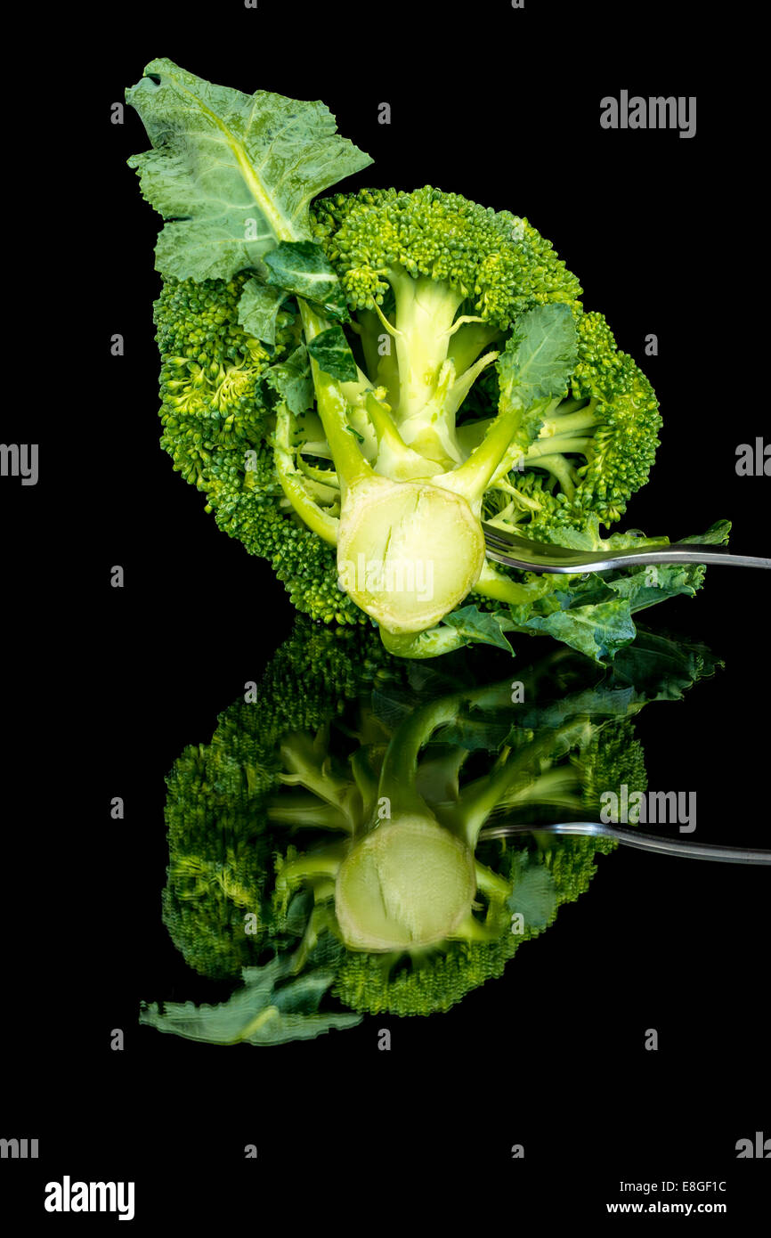 Single broccoli hi-res stock photography and images - Alamy