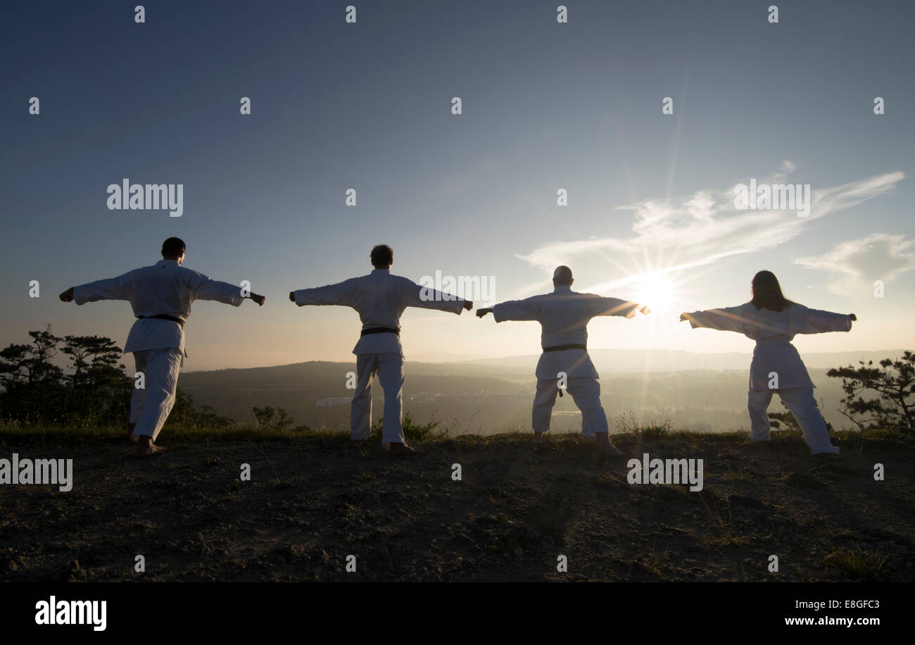 Zakimi castle hi-res stock photography and images - Alamy