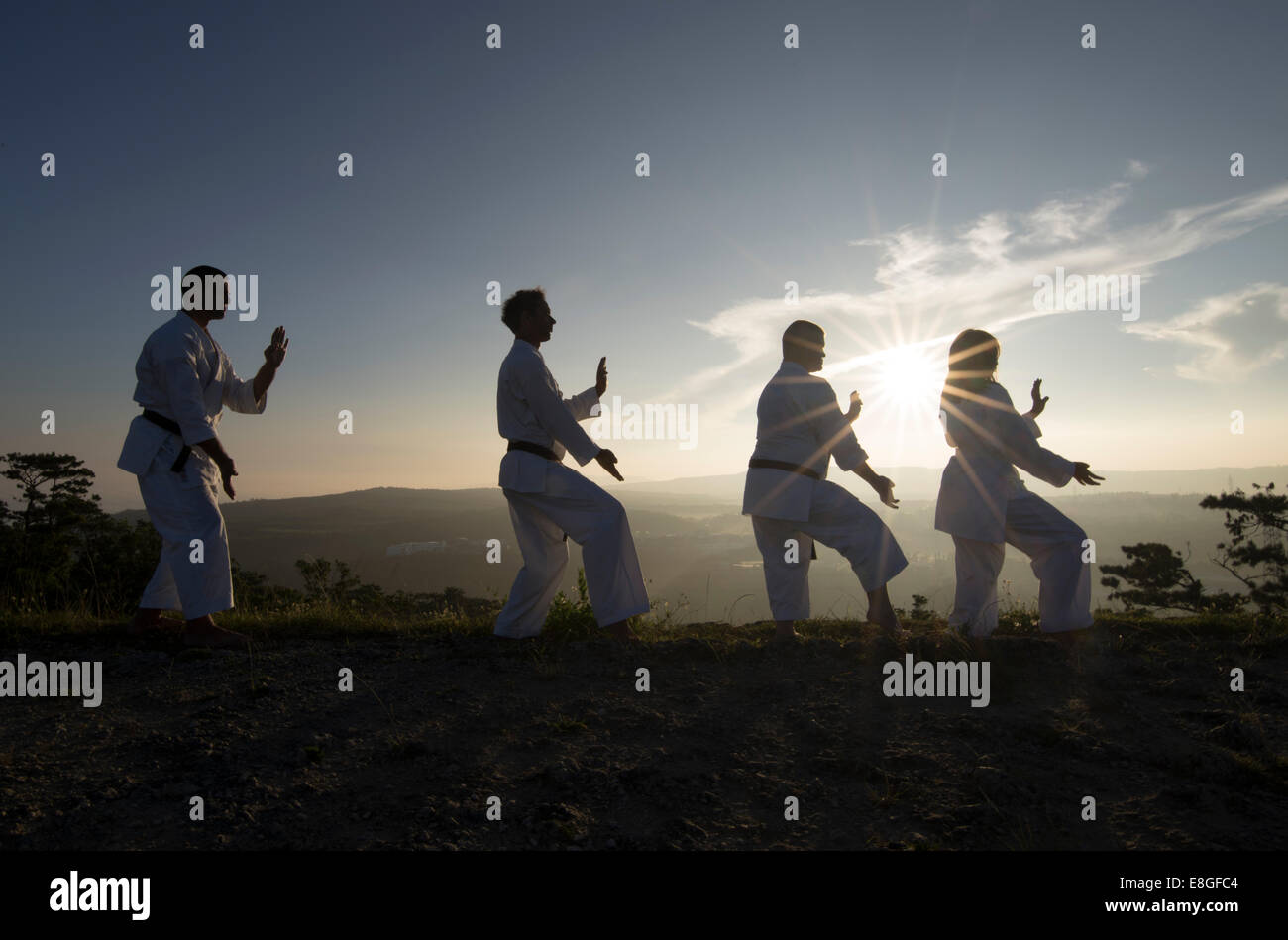 Karate training at dawn at Zakimi Castle, Okinawa, Japan Stock Photo ...