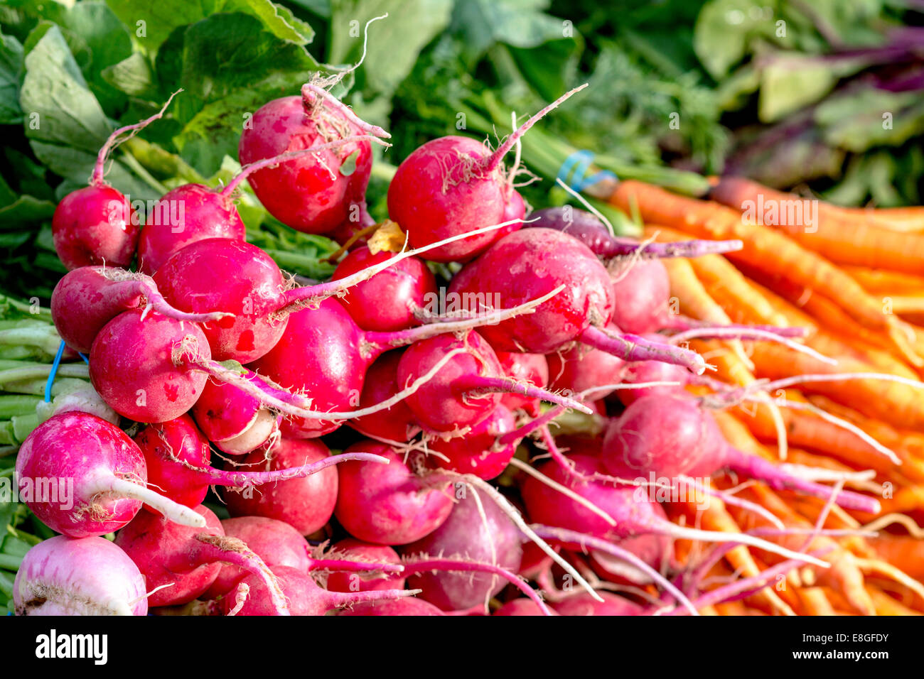 Round red radishes on display at a farmers market Stock Photo - Alamy