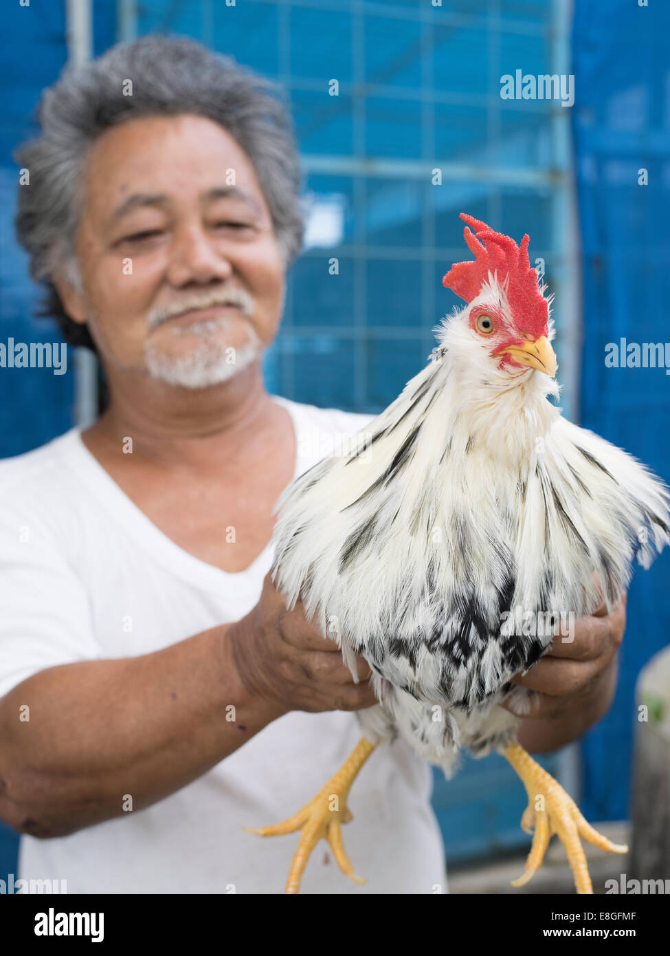 Iha-san with his chan chickens チャーン that are native to Okinawa. Uruma ...