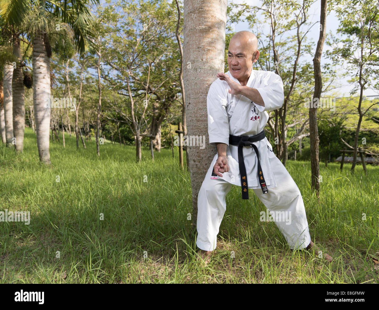 Goju Ryu Karate Wallpaper