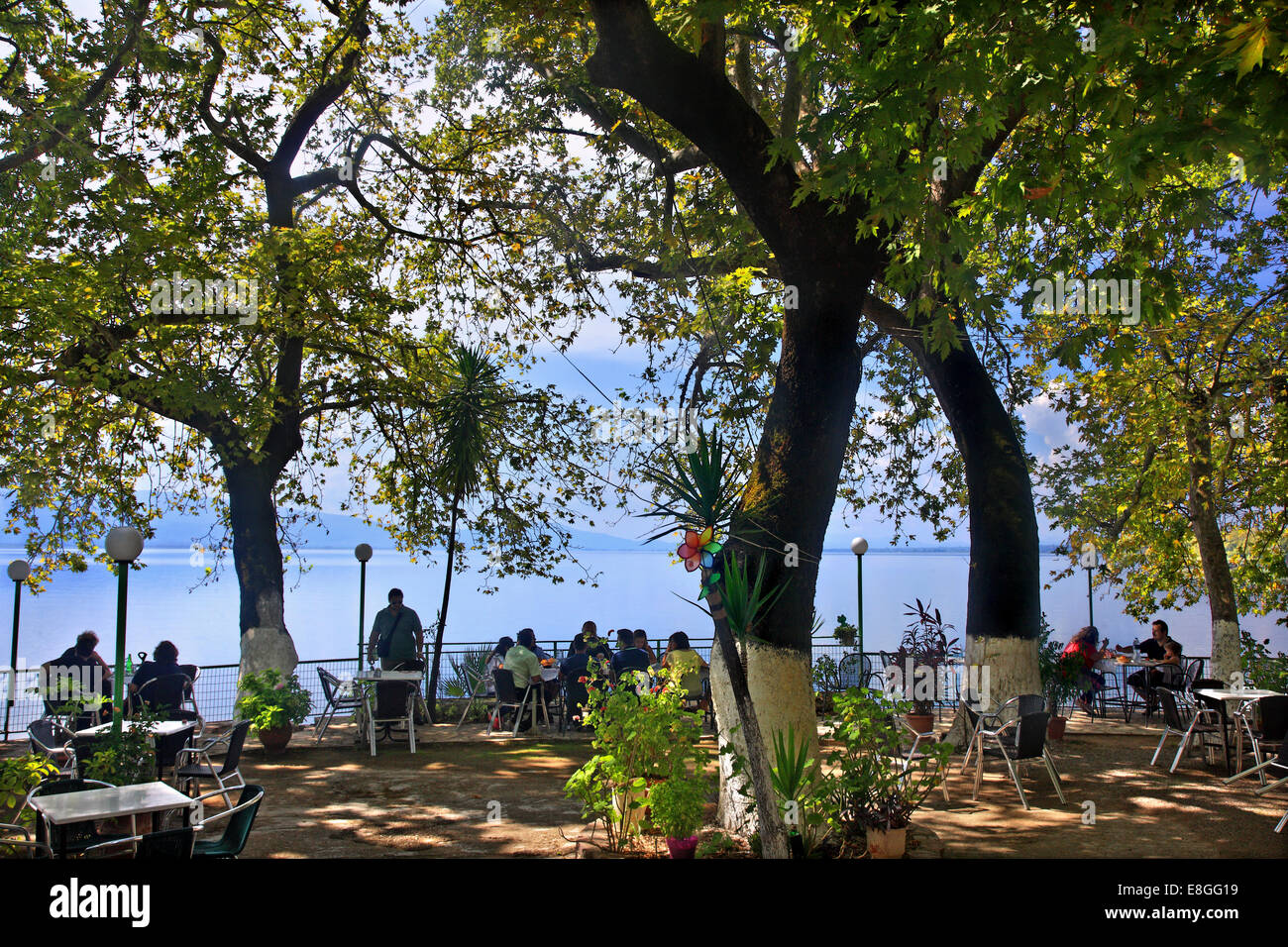 Tavern in Kato Myrtia village, lake Trichonida (or "Trichonis ...