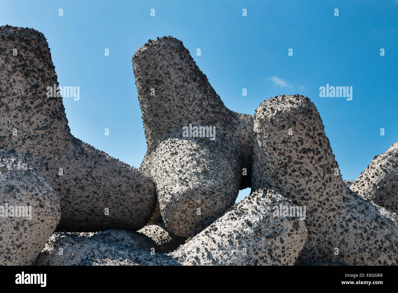 Tetrapods hi-res stock photography and images - Alamy