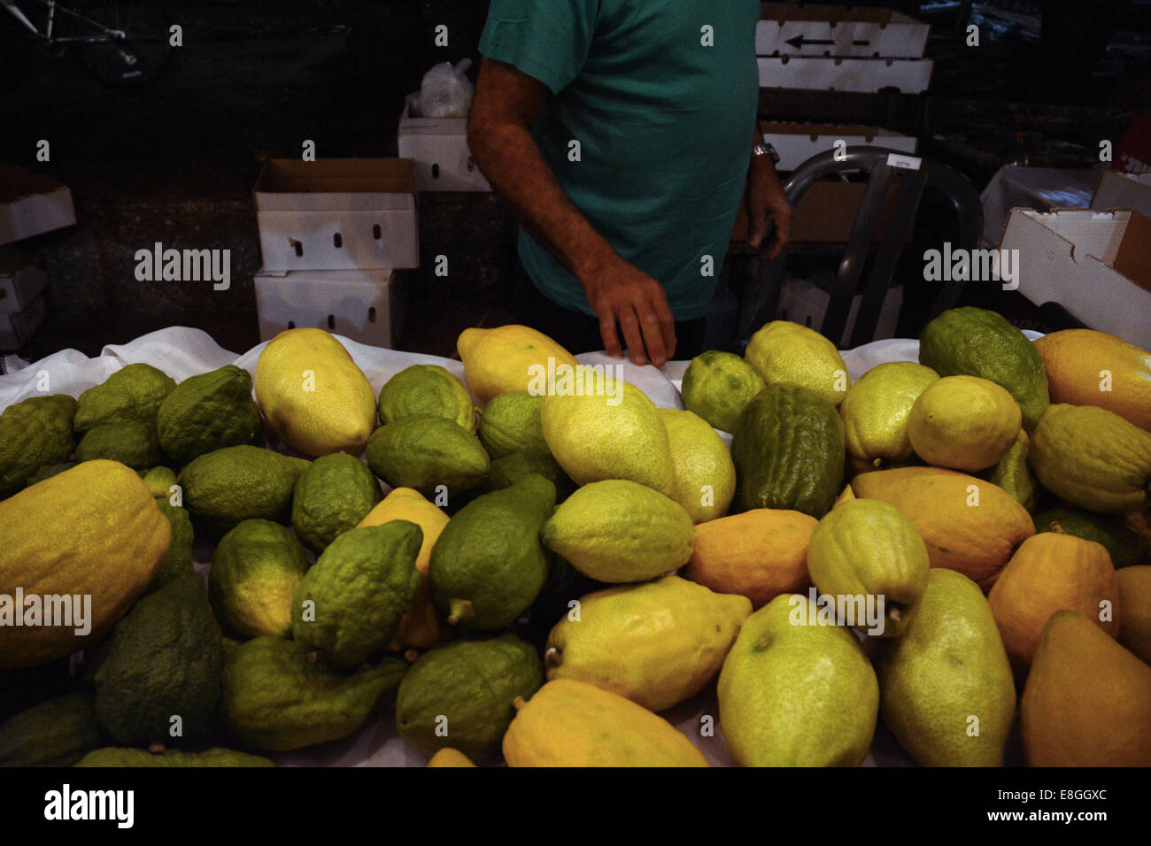 Citrons are displayed at the annual fair in Rabin Square. The Jewish ...