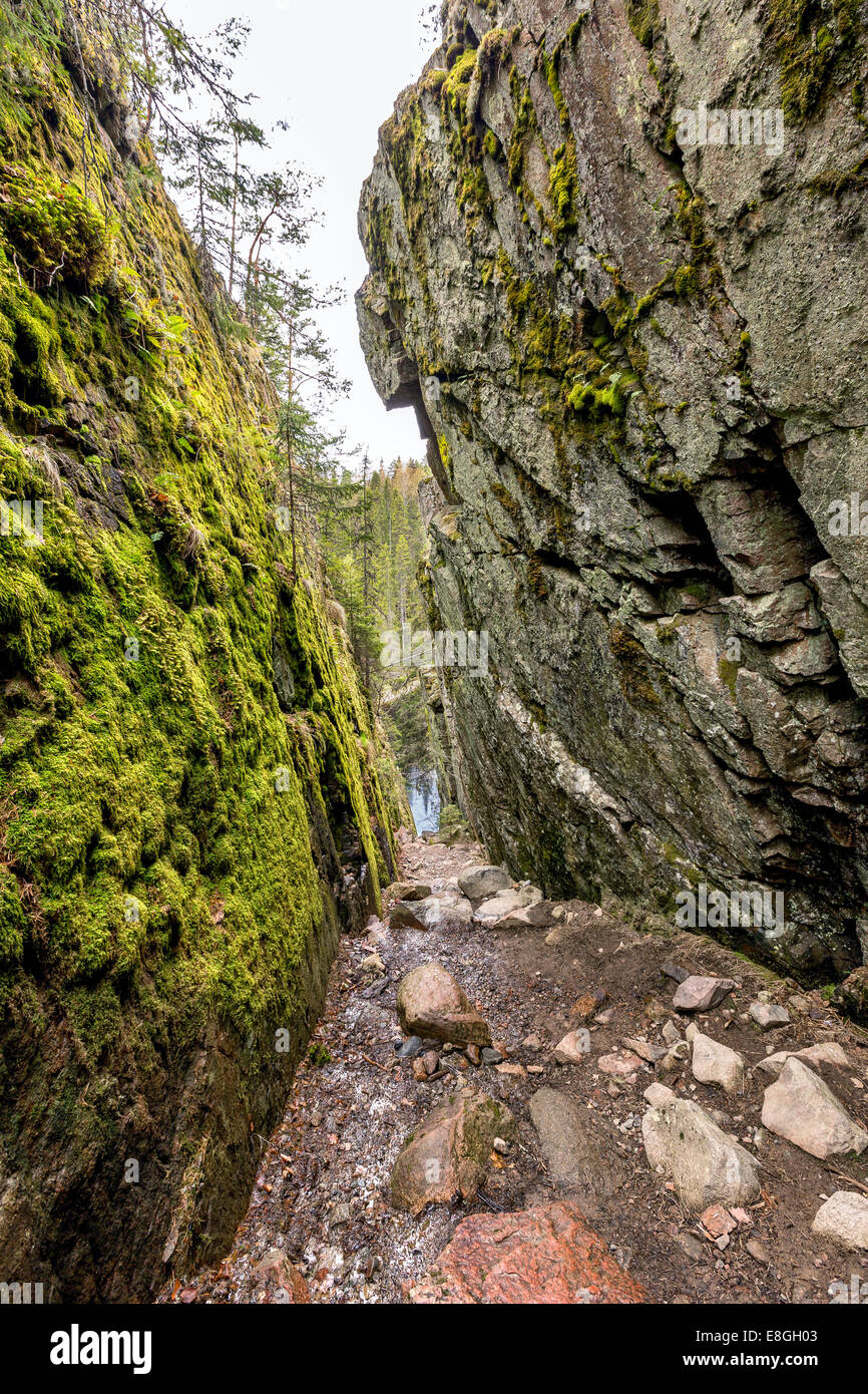 Helvetinkolu gorge in Helvetinjärvi national park, Ruovesi, Finland ...
