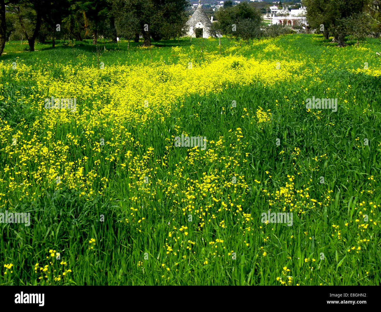 Italy, Picture of spring Stock Photo - Alamy