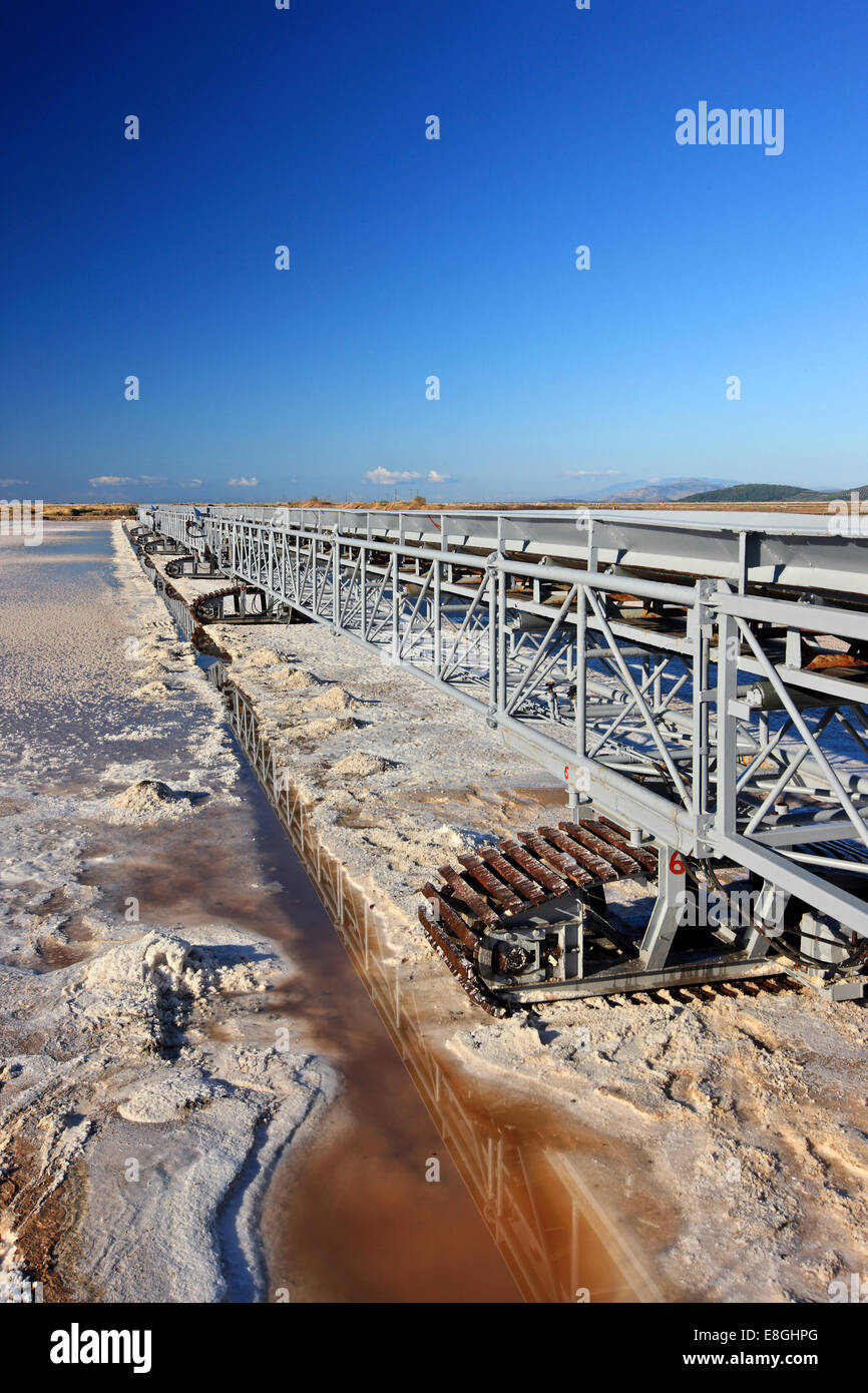 Harvest time at the "White" saltworks, lagoon of Messolonghi - Aitoliko ...